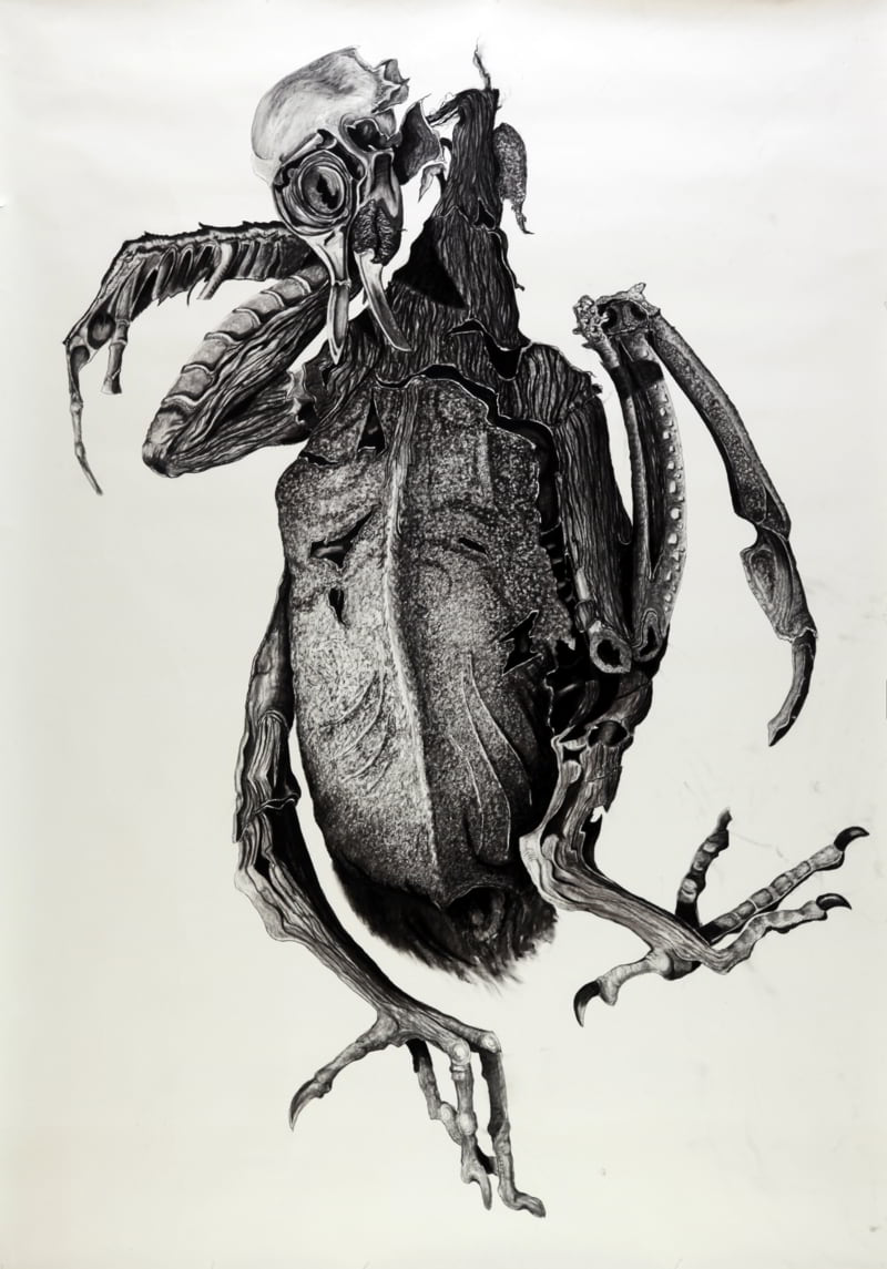 Work Of The Week | 18 October 2021 - Crawford Art Gallery