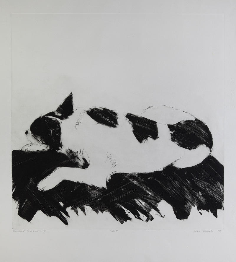 Work Of The Week | 28 February 2022 - Crawford Art Gallery